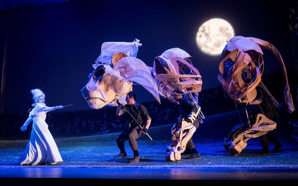 About The Rep | Birmingham Rep